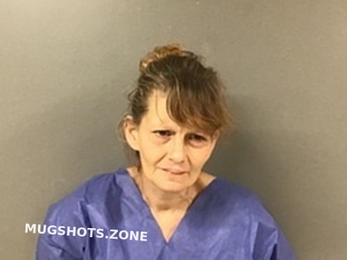 RACHEL HOLCOMB 11/08/2023 - Blount County Mugshots Zone