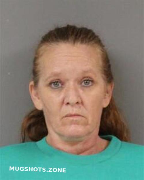 ANN HAHN 02/03/2024 - Blount County Mugshots Zone