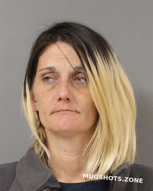 TASHA HIGGINS 03/02/2024 - Blount County Mugshots Zone