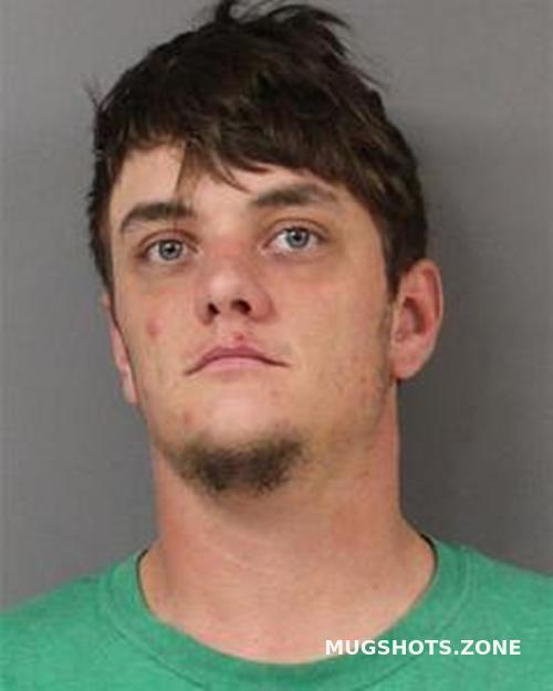 BRYAN HITT 03/20/2024 - Blount County Mugshots Zone