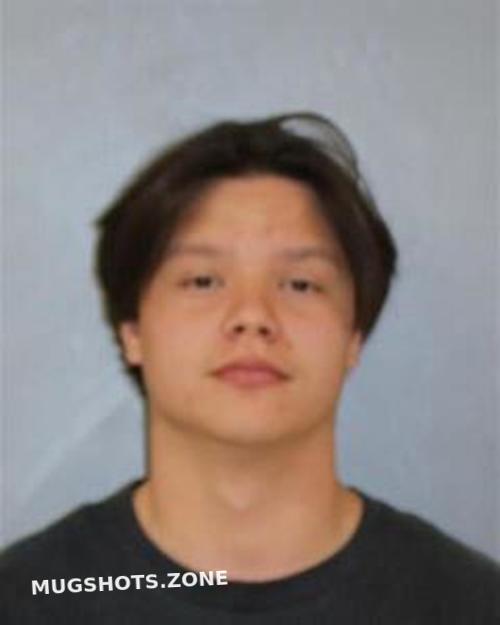 RICHARD DAVIS 04/20/2024 - Blount County Mugshots Zone