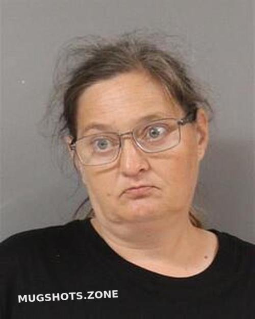 AMANDA SWANN 07/19/2024 - Blount County Mugshots Zone
