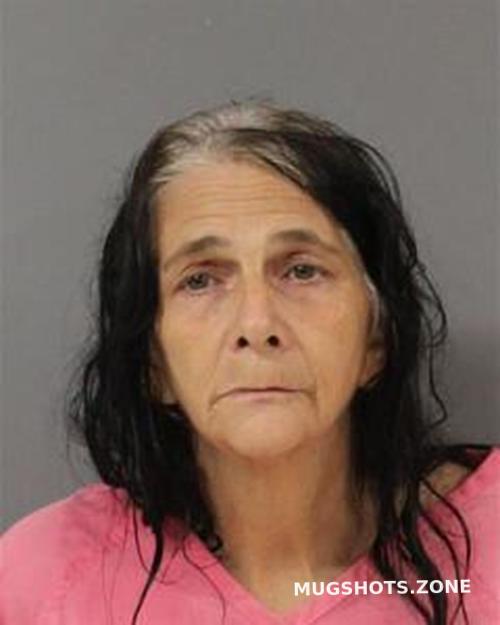 SUSAN WARREN 07/19/2024 - Blount County Mugshots Zone