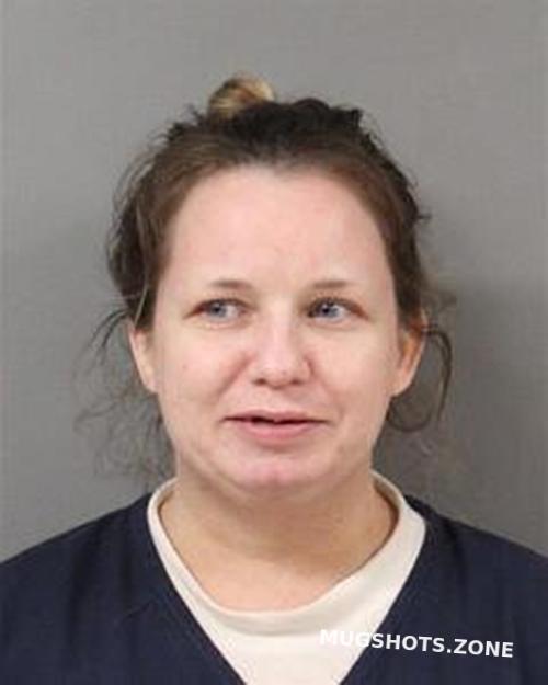 MEAGHAN MCCLELLION 08/20/2024 - Blount County Mugshots Zone