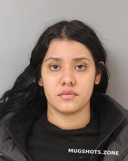 ALLISON ESTRADA CARBELLO 09/09/2024 - Blount County Mugshots Zone