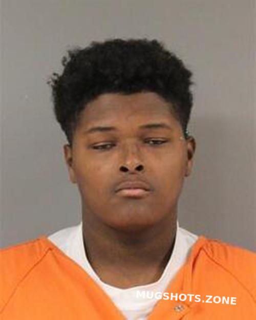 AVERY WYATT 11/14/2024 - Blount County Mugshots Zone