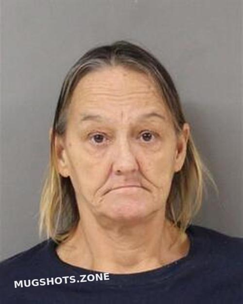 TINA MIKEL 11/26/2024 - Blount County Mugshots Zone