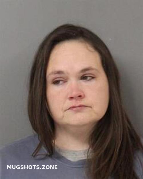 ROBIN ELLISON 01/28/2025 - Blount County Mugshots Zone