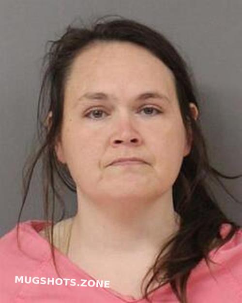 ROBIN ELLISON 01/30/2025 - Blount County Mugshots Zone