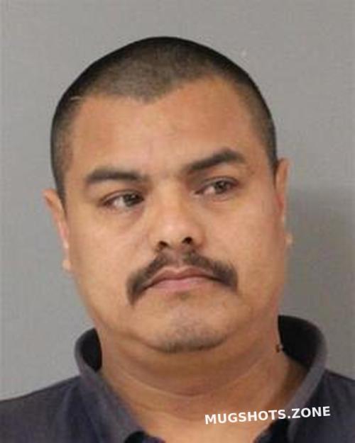 FERNANDO CASTILLO 02/20/2025 - Blount County Mugshots Zone