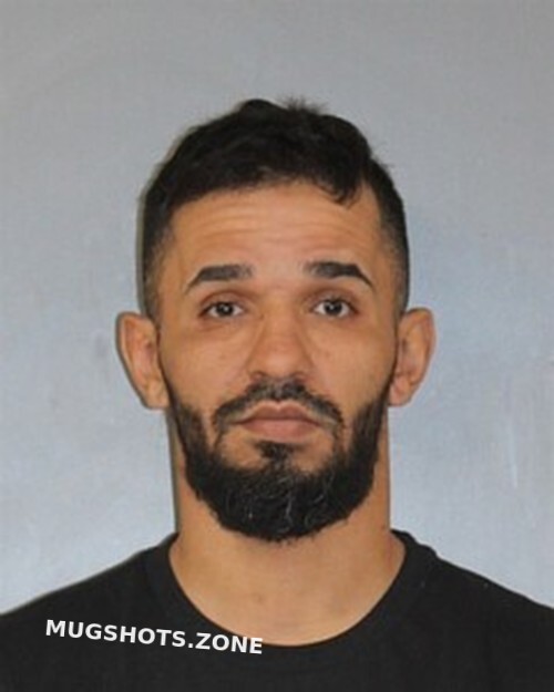 NICHOLAS PHILLIPS 04/11/2025 - Blount County Mugshots Zone