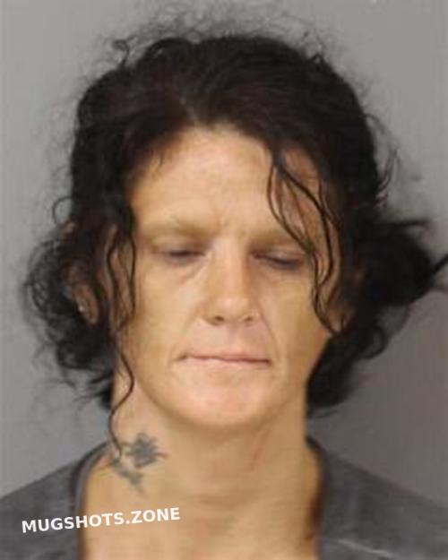 SARA RICHEY 05/01/2025 - Blount County Mugshots Zone