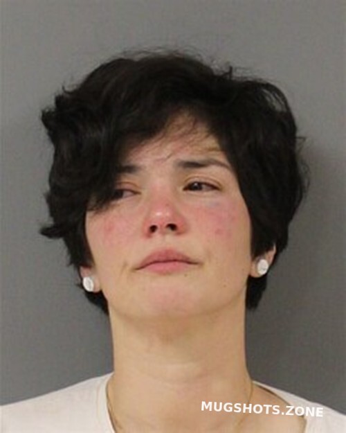 ALICE BRADY 12/18/2025 - Blount County Mugshots Zone