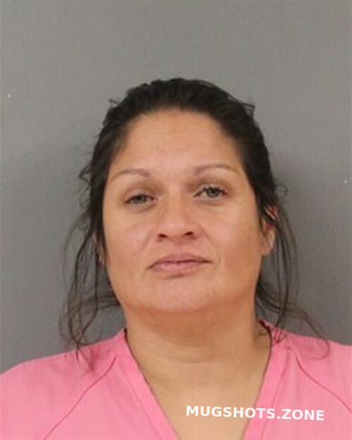 JANIE NATION 01/19/2026 - Blount County Mugshots Zone