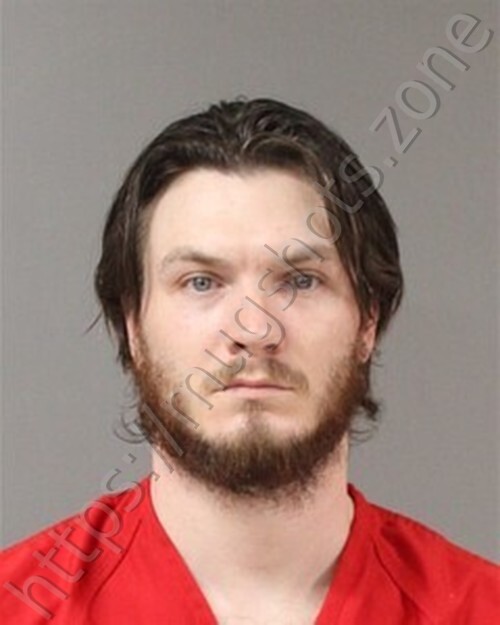 AARON ROBERSON 03/11/2026 - Blount County Mugshots Zone
