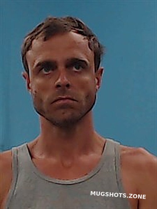 HALE MICHAEL EUGENE 08/14/2023 - Boone County Mugshots Zone