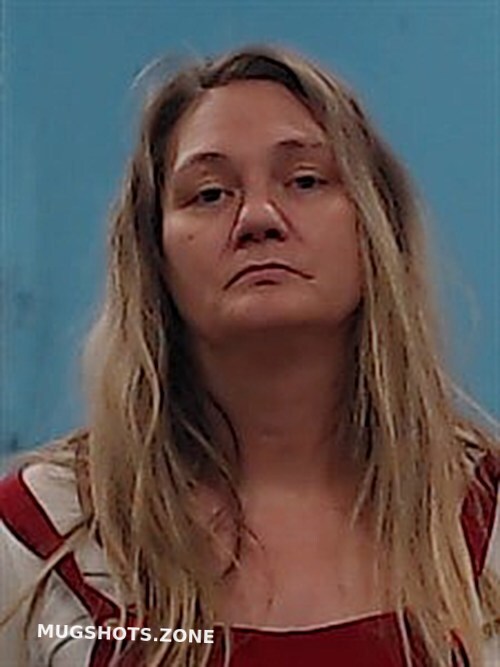 WILLIAMS NICOLE R 02/10/2025 - Boone County Mugshots Zone