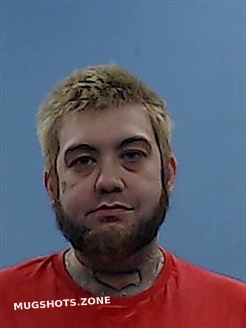 WOOLSEY TRAVIS WAYNE 04/28/2025 - Boone County Mugshots Zone