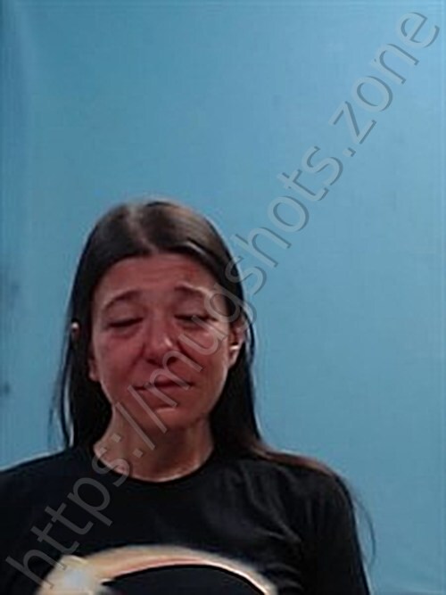 GIBSON VERONICA LYNN 03/13/2026 - Boone County Mugshots Zone