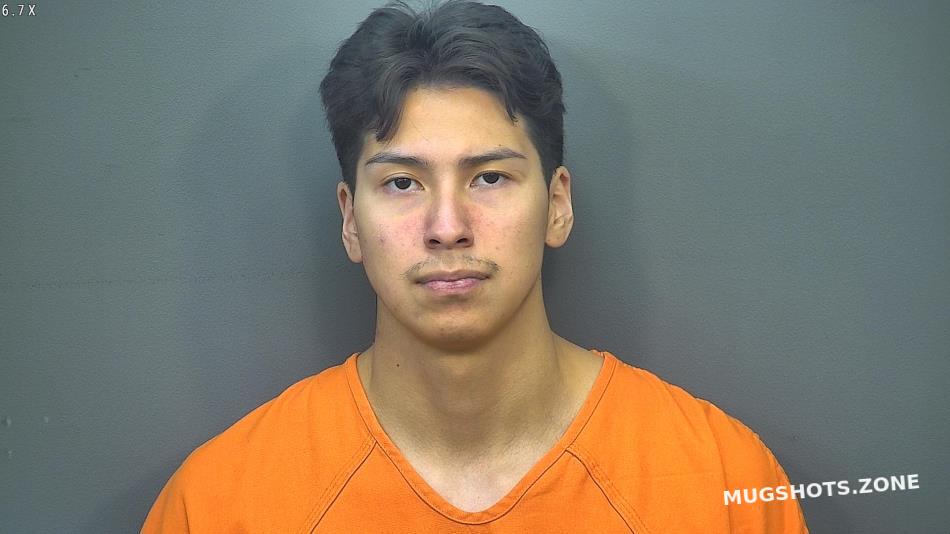 DAWE FERNANDO 02/11/2024 - Boone County Mugshots Zone