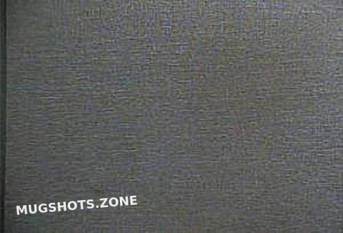 NACRELLI LISA 11/20/2021 - Boone County Mugshots Zone