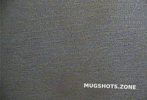 WIDENER CRYSTAL 12/24/2022 - Boone County Mugshots Zone