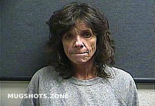 HOUSTON MICHELLE RUTH 01/03/2023 - Boone County Mugshots Zone