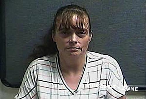 CHEESEMAN NANCY JANE 04/05/2023 - Boone County Mugshots Zone