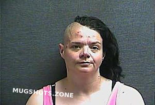 CARSON BRIDGETTE NICOLE 06/01/2023 - Boone County Mugshots Zone