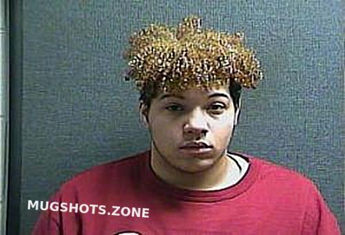 ADAMS DONTE AVIOUS LAMONTE 02/02/2024 - Boone County Mugshots Zone
