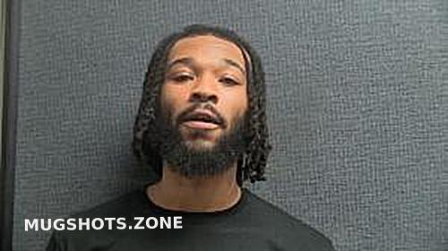 BRANDY VINCENT RAY 03/28/2025 - Boone County Mugshots Zone