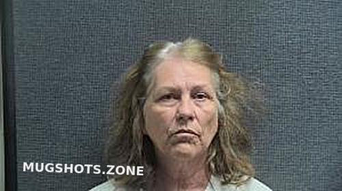 WELLS RHONDA DESIRE 04/17/2025 - Boone County Mugshots Zone