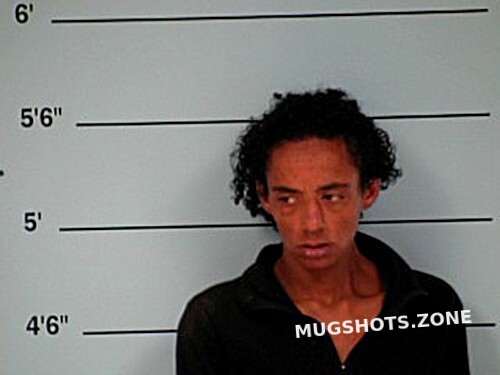 HOOPER SHANDA L 11/28/2022 - Bourbon County Mugshots Zone