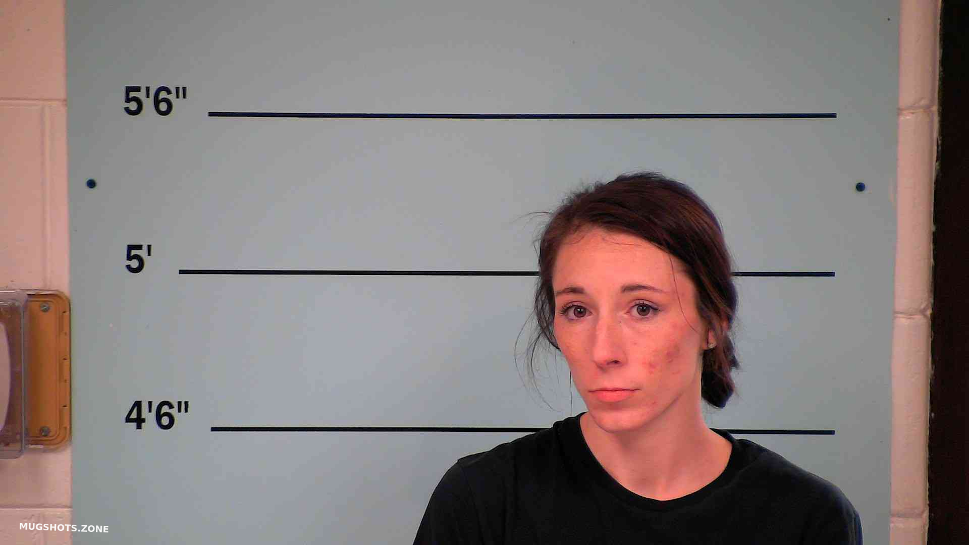 REED DESTINY 12/17/2023 - Bourbon County Mugshots Zone