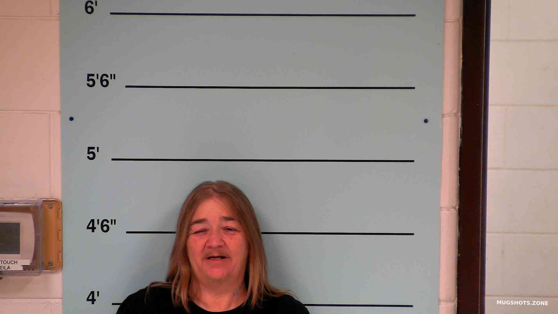 FITCH CYNTHIA 03/03/2024 - Bourbon County Mugshots Zone