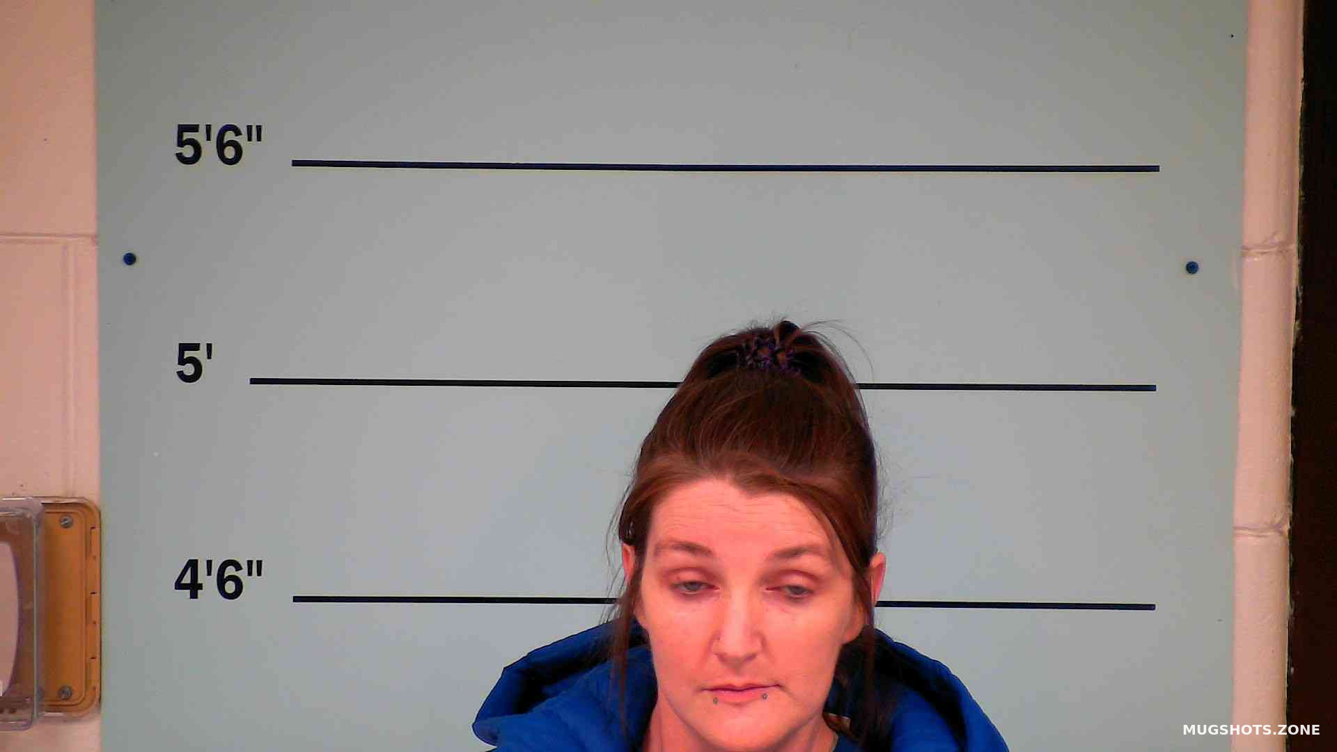 GODSEY AMBER 03/20/2024 - Bourbon County Mugshots Zone