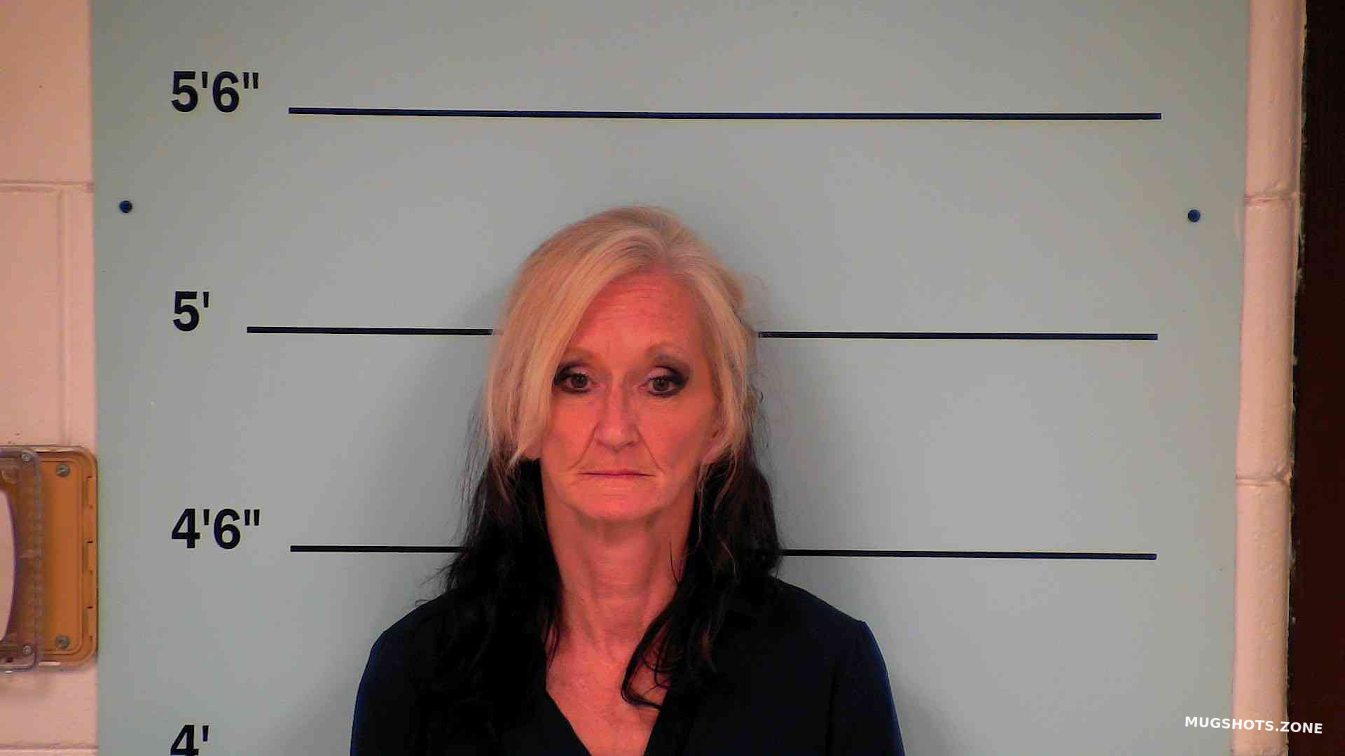 COOPER TINA 04/08/2024 - Bourbon County Mugshots Zone