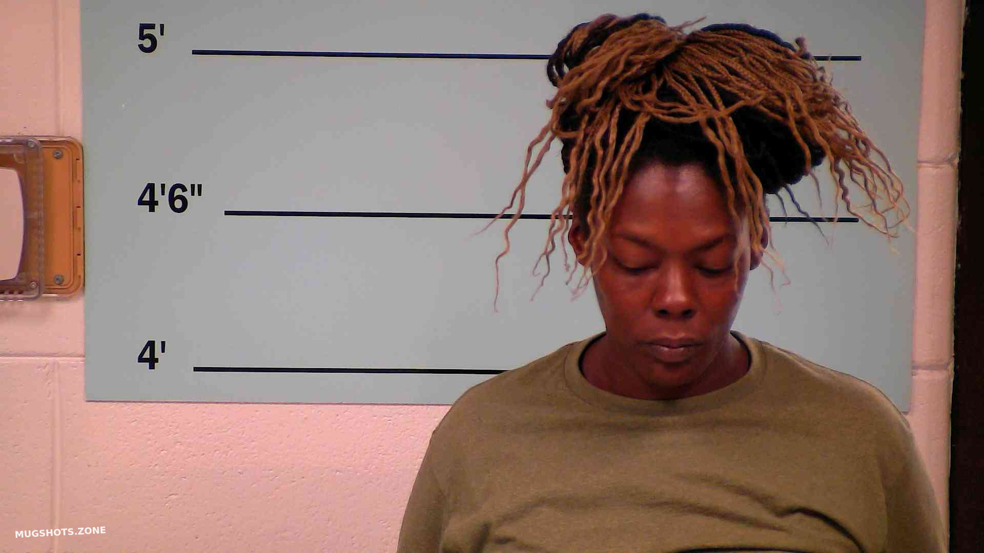 HILL LIAKISHA 09/29/2024 - Bourbon County Mugshots Zone