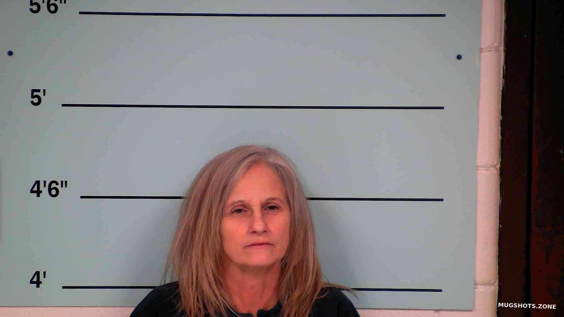 VICE SHEILA 12/18/2024 - Bourbon County Mugshots Zone
