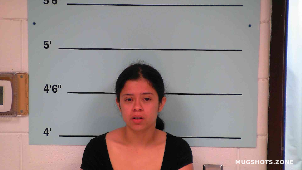 CASTRO RAMIREZ STEPHANY GISSEL 07/09/2025 - Bourbon County Mugshots Zone