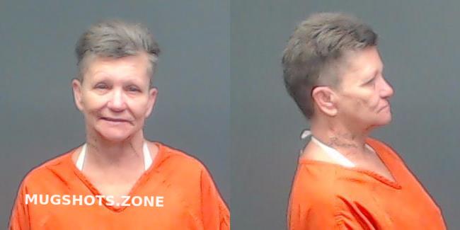 HUDSON JANET GAIL 10/11/2022 - Bowie County Mugshots Zone