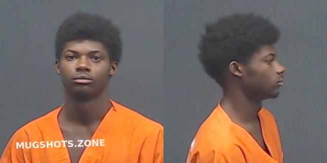 HENDERSON JOHNATHAN 10/24/2024 - Bowie County Mugshots Zone