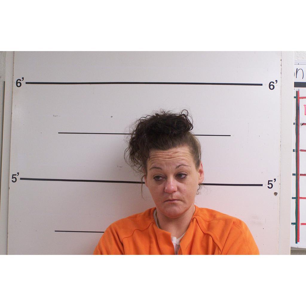 ALLISON YOUNG RENEE 09/23/2021 - Boyd County Mugshots Zone