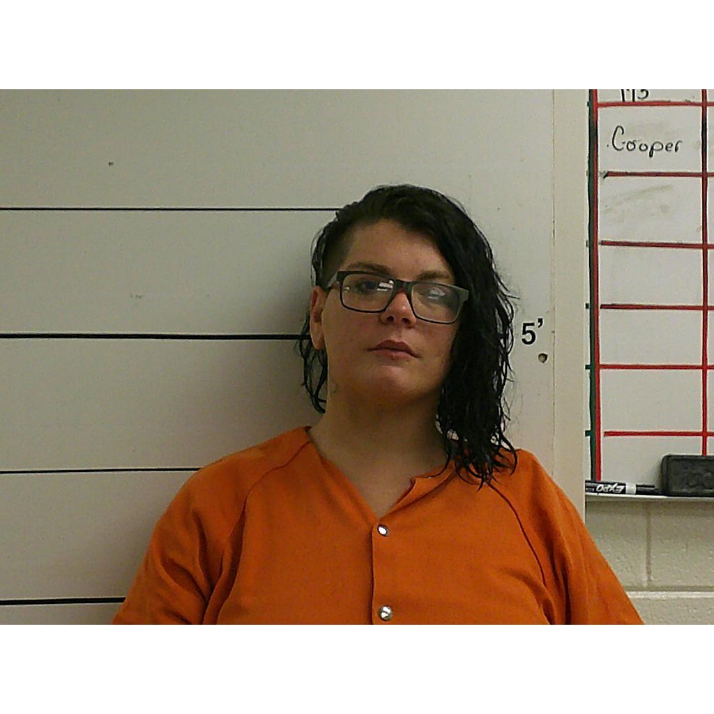 KIMBERLEE BURNS A 12/02/2021 - Boyd County Mugshots Zone