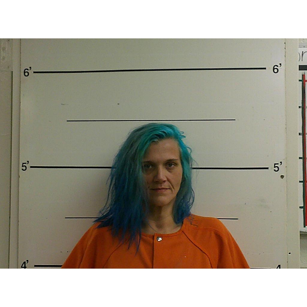 ANNETTE KIRK LOUISE 01/03/2022 - Boyd County Mugshots Zone