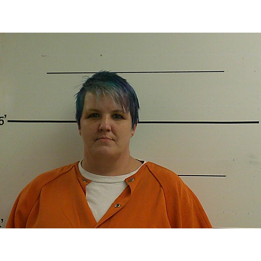 TABITHA HARRISON S 01/05/2022 - Boyd County Mugshots Zone
