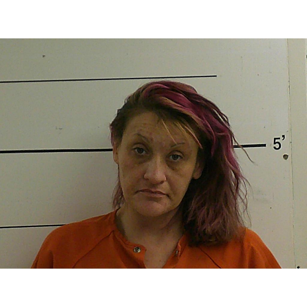 JENNIFER PENNINGTON A 01/08/2022 - Boyd County Mugshots Zone