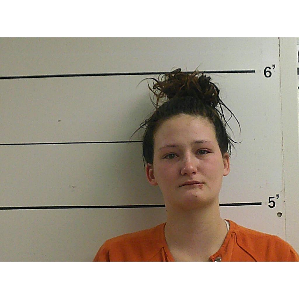 SHELBI GENTRY GAIL 01/10/2022 - Boyd County Mugshots Zone