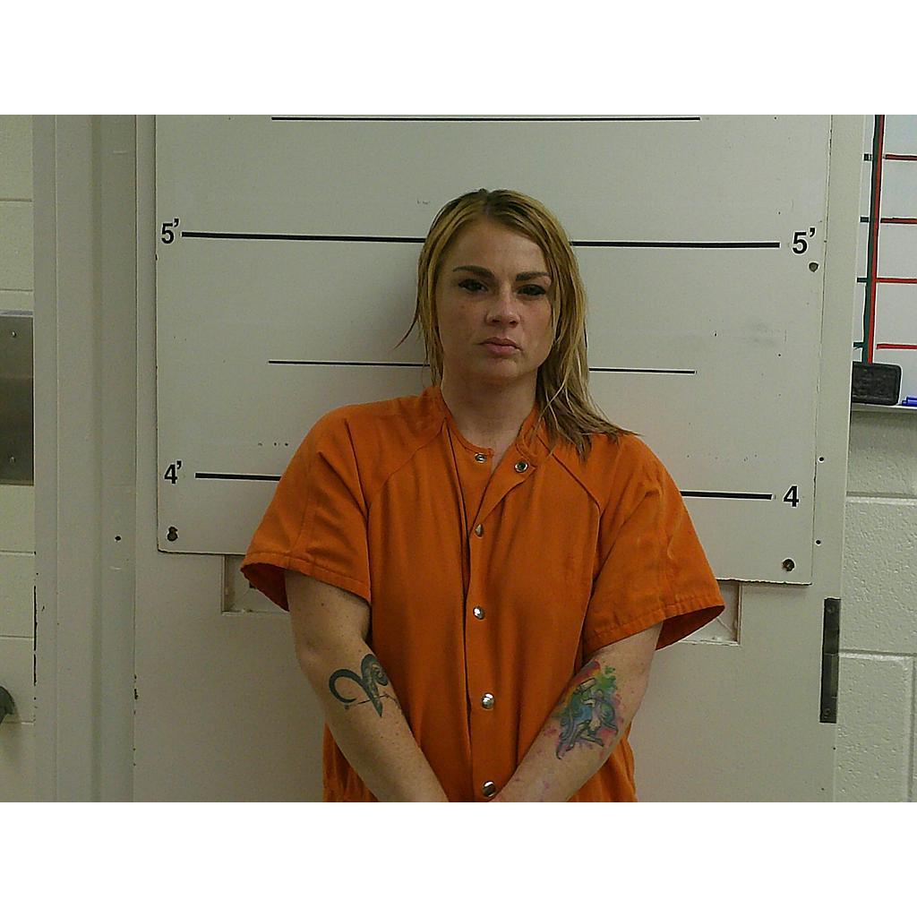 RACHEL GILLILAND ANN 01/12/2022 - Boyd County Mugshots Zone