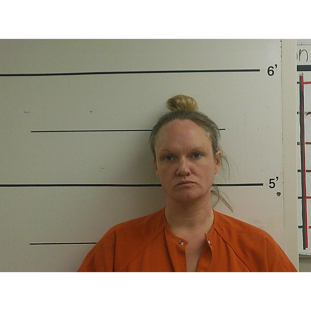 AMY BLANTON LYNN 01/20/2022 - Boyd County Mugshots Zone